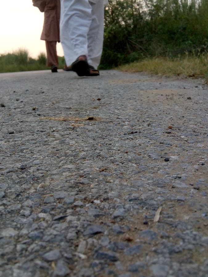 Path Foot Way Nature Morning Stock Photo - Image of path, morning ...