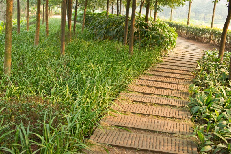 Path in forest stock image. Image of path, walk, gardening - 22764617