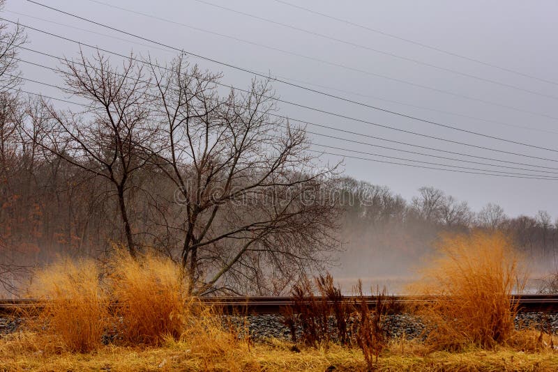 Path through Autumn Forest on a Rainy Day and Mist Fog Stock Photo ...