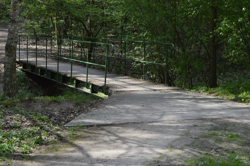 Path in Forest with Bridge and Reflections of Sun Stock Photo - Image ...