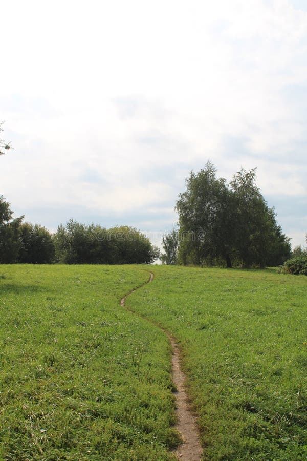 Path through a Forest Clearing Stock Photo - Image of nature, forest ...