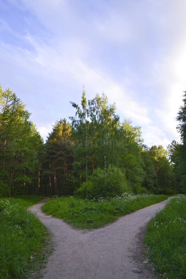 Paths Divided Woods Stock Photos - Free & Royalty-Free Stock Photos ...