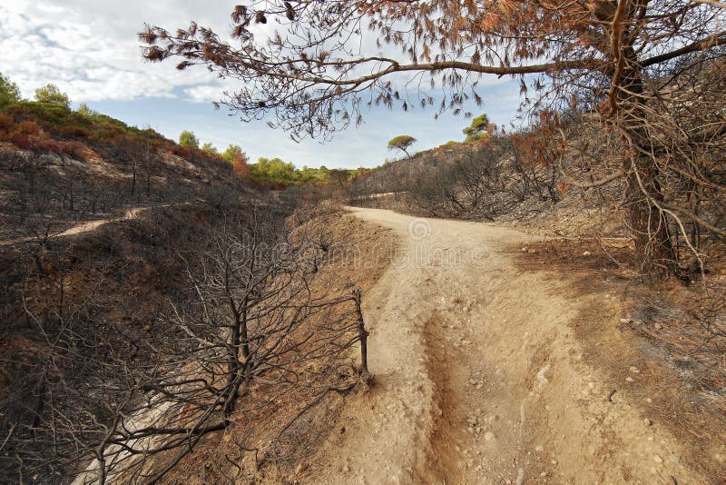 The Path To the Fire Exit Door in the Hotel Stock Photo - Image of ...