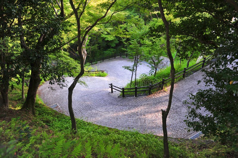 Path in a forest stock image. Image of country, spring - 36673491