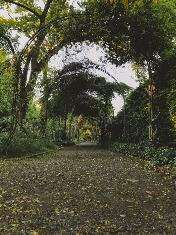 A Path through a Forest with a Large Archway Stock Image - Image of ...