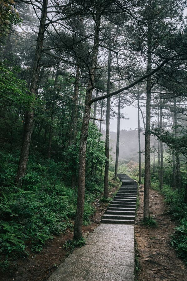 Path in Forest in Mingyue Mountain, Jiangxi, China Stock Image - Image ...