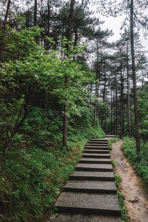 Path in Forest in Mingyue Mountain, Jiangxi, China Stock Image - Image ...