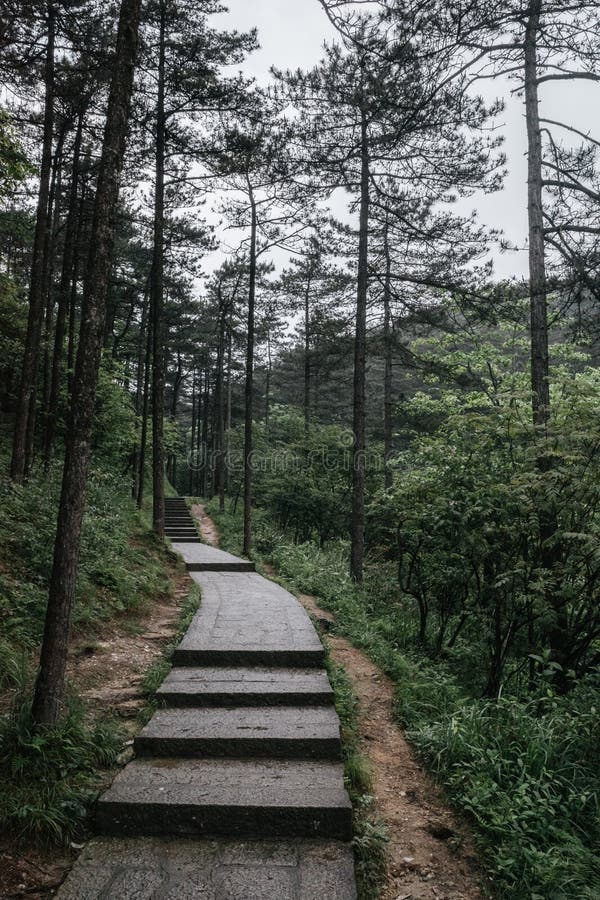 Path in Forest in Mingyue Mountain, Jiangxi, China Stock Image - Image ...