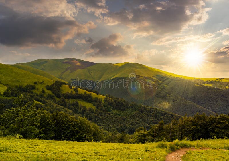 Path through the Forest in Mountains at Sunset Stock Photo - Image of ...