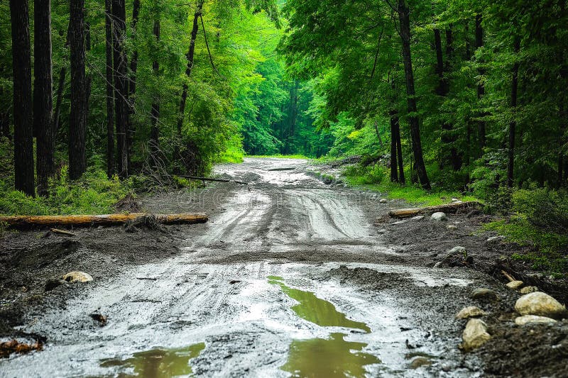 Path in the Forest. Natural Disasters. Village Landslide on the Road ...