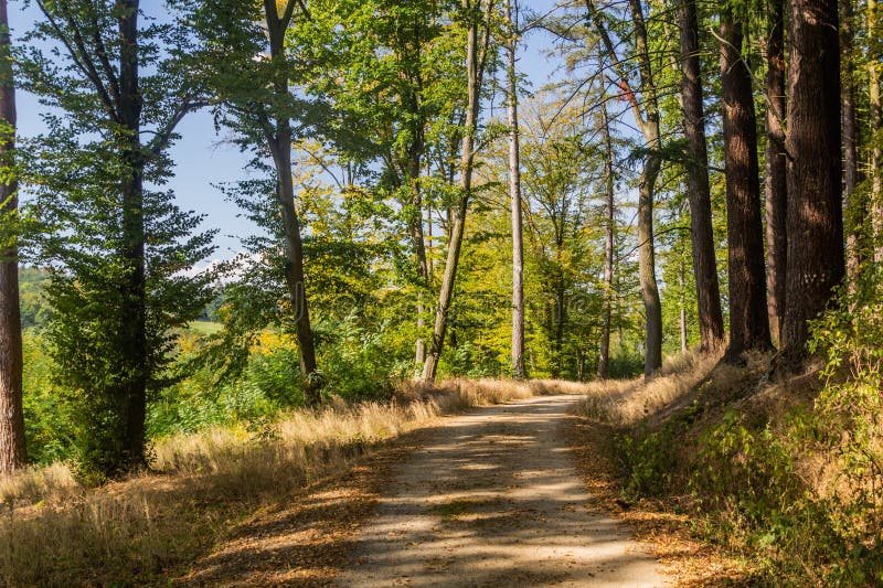 Path in a Forest Near Cesky Sternberk, Czech Republ Stock Photo - Image ...