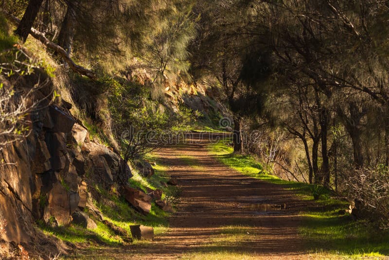 Path in a Forest Passing between Trees and Cliffs. Stock Photo - Image ...