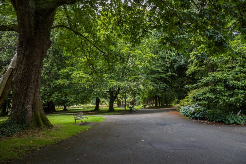 Path in the Forest without People. Active Recreation in Nature. Bicycle ...