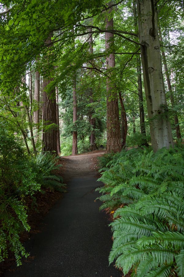 Bicycle with Beautiful Flower Basket on Vintage Background. Generative ...