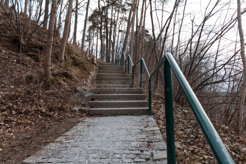 A Path through a Forest of Staircases. Stock Image - Image of plant ...