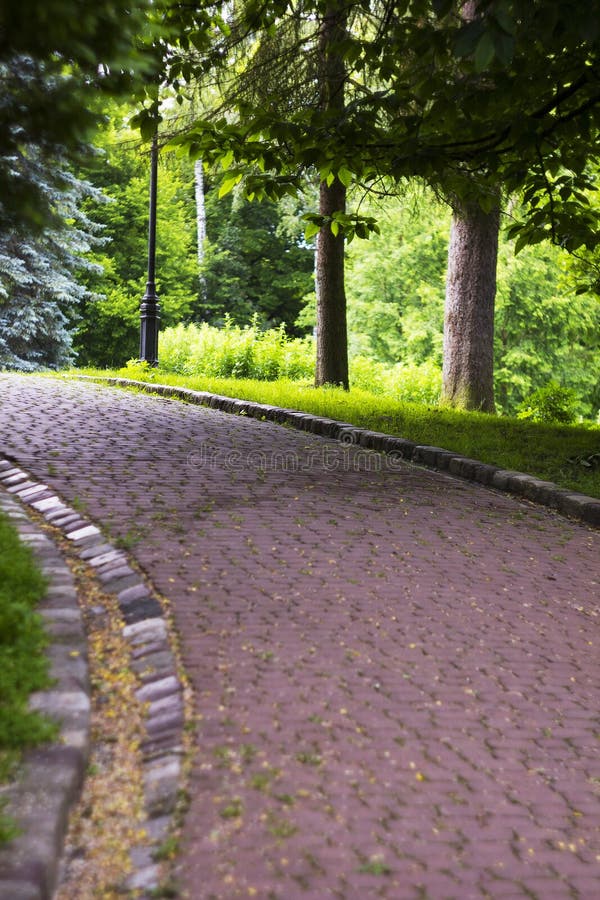 Path in Forest among Trees. Track Tiles in Summer Park Stock Photo ...