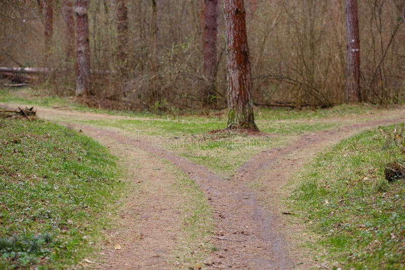 251 Split Path Woods Stock Photos - Free & Royalty-Free Stock Photos ...