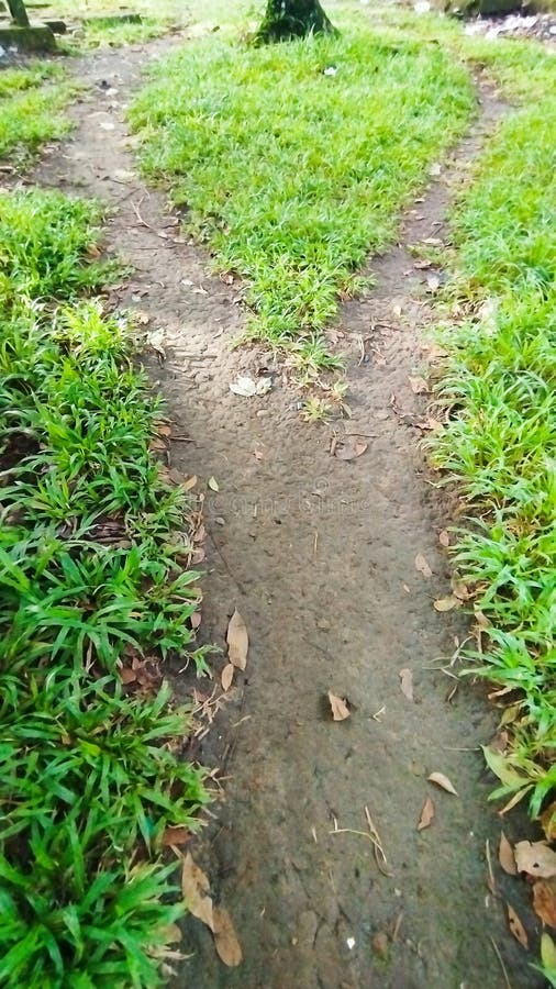 Path Forms Letter Y Represents Choice Left Right Stock Photos - Free ...