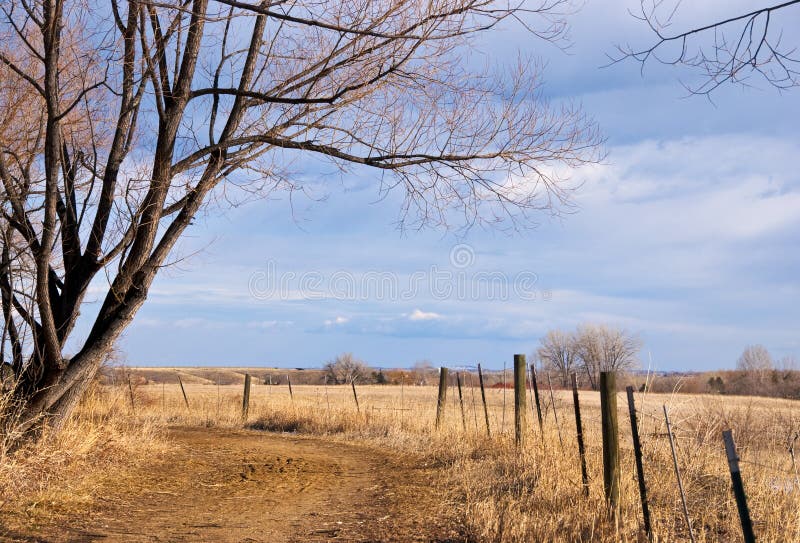 Path Forward through a Bright Field Stock Image - Image of frame, small ...