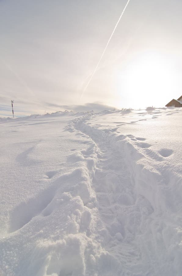 Path in the fresh snow stock photo. Image of fresh, path - 28443430