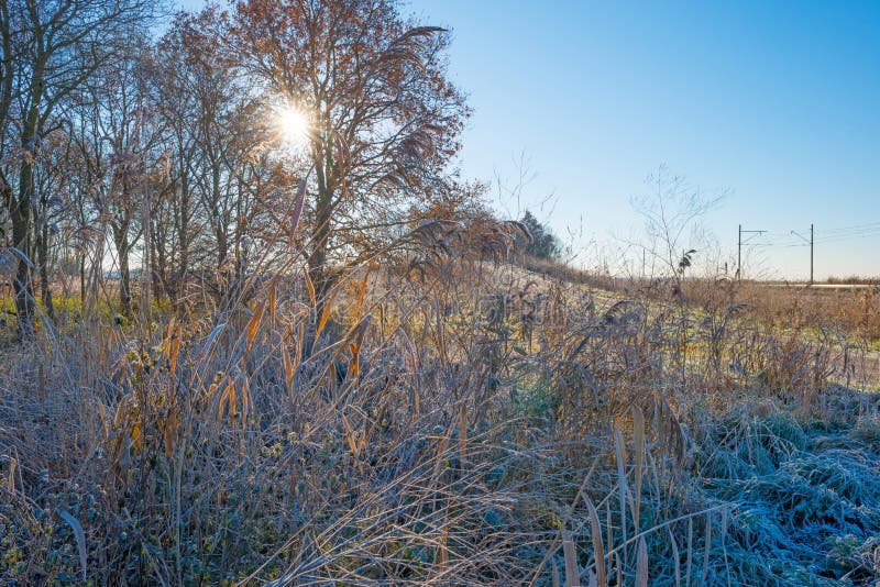 Path through a Frozen Field at Sunrise Stock Image - Image of frozen ...