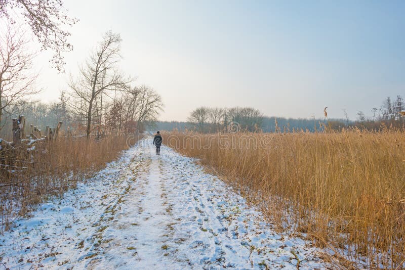 Path through a Frozen Field in Winter Stock Photo - Image of snow, tree ...