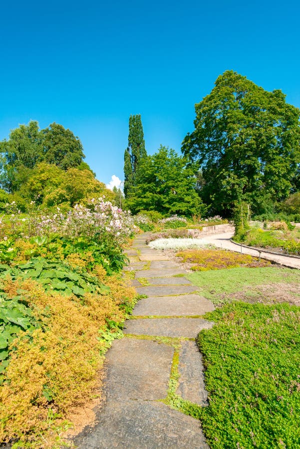Path in the Gardenâ€¨â€¨path in the Garden Stock Photo - Image of ...