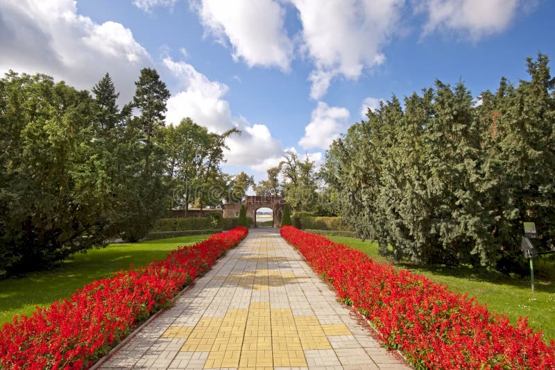 Path in garden stock photo. Image of path, color, leaves - 31360636