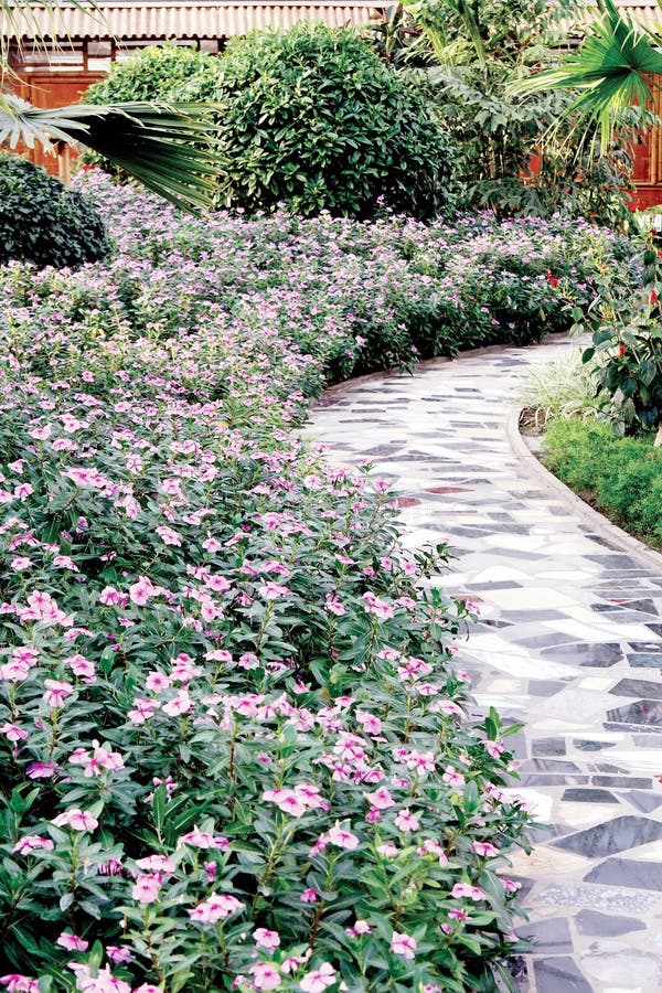 Walkway through Flower Garden Stock Image - Image of growing, leaves ...