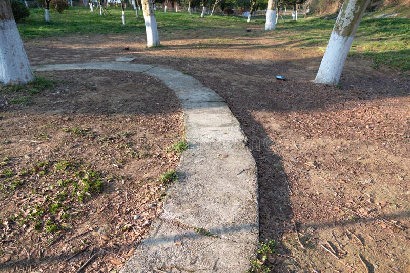 Path through the garden stock image. Image of nature - 312100959