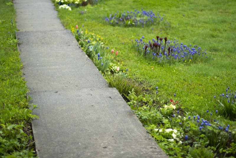 Path in the Garden. Garden on a Rainy Day Stock Photo - Image of lawn ...