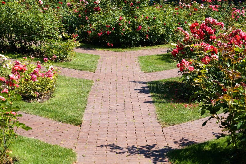 Path in Garden, Roses Flowers Stock Image - Image of backyard, nature ...
