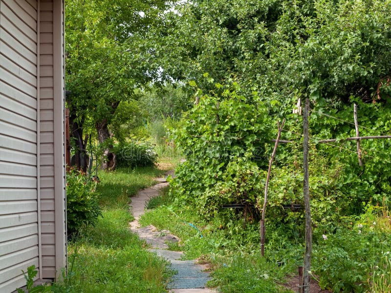 Path through the Garden in the Village Stock Photo - Image of outdoors ...