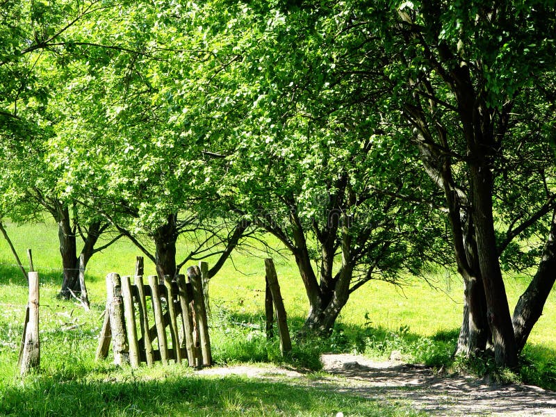 Path with gate stock image. Image of grass, trees, orchard - 12355