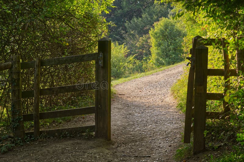 Path and Gate in Countryside, Surrey, England Stock Photo - Image of ...