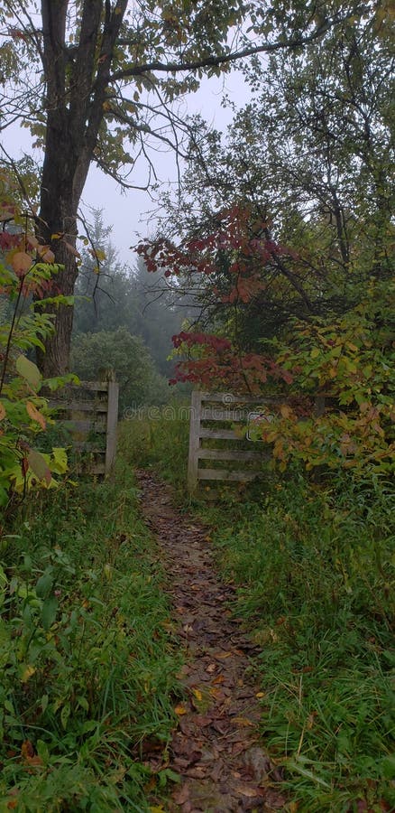 Gateway on forest path stock photo. Image of gatepost - 11079450