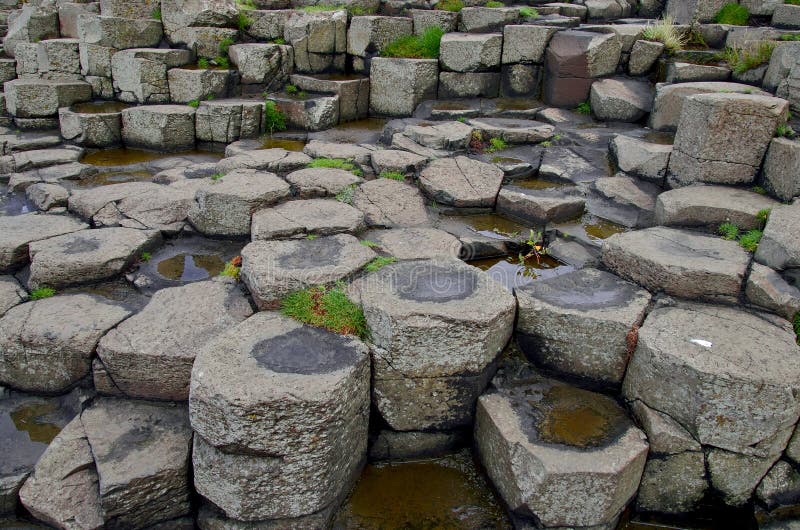 The path of giants stock photo. Image of beautiful, columns - 53280810