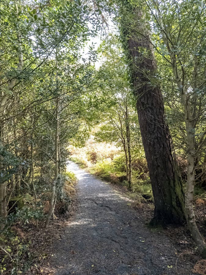 Path in Glenveagh National Park, Republic Donegal, Ireland Stock Image ...