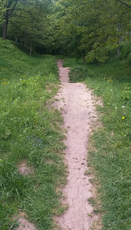 Path Goes Off into the Distance between Green Grass and Green Trees ...
