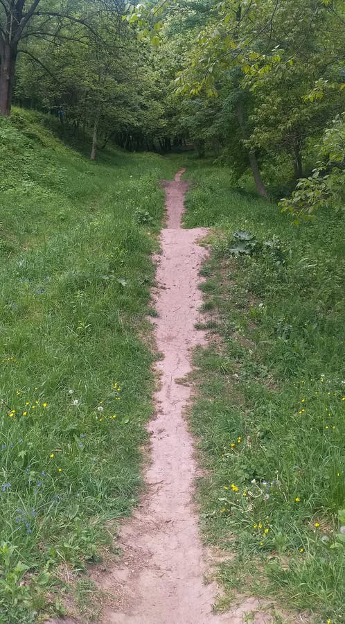 Path Goes Off into the Distance between Green Grass and Green Trees ...