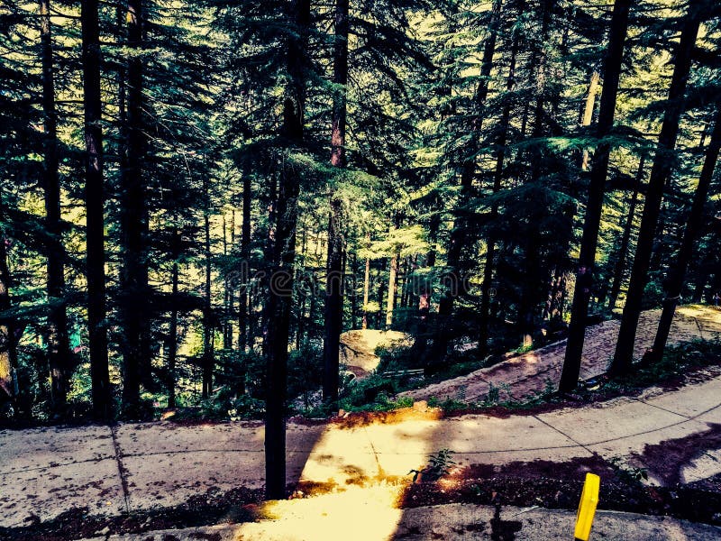 Path stock image. Image of light, garden, fall, woods - 121821259