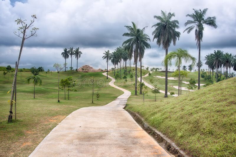 Path on the golf course stock photo. Image of plants - 92146528