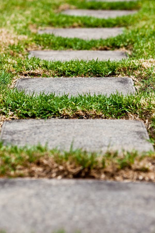 Path in the grass stock photo. Image of concrete, gray - 12979188