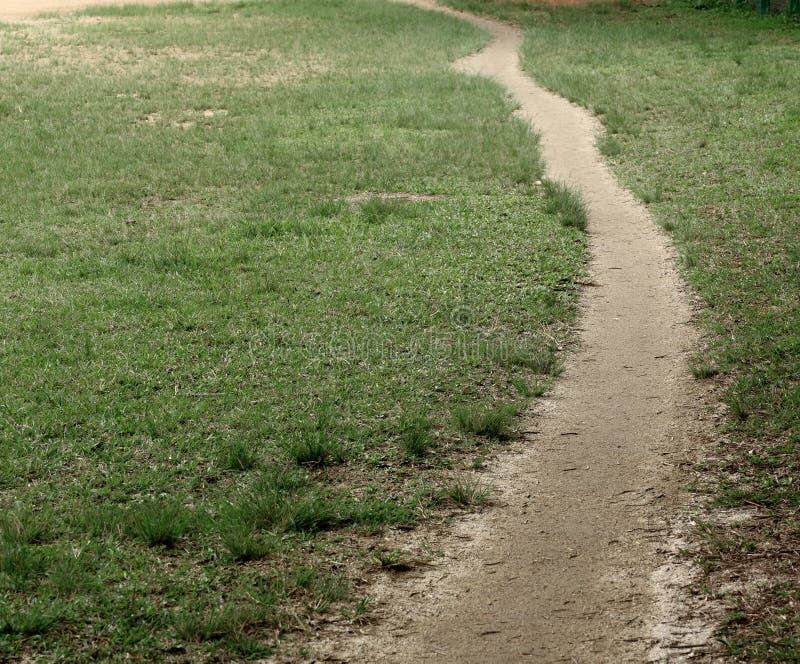 Grass mowing stock photo. Image of mowing, green, horticultural - 3177082