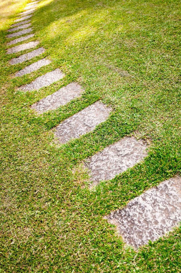 Path in the Grass stock image. Image of walk, path, road - 18623305