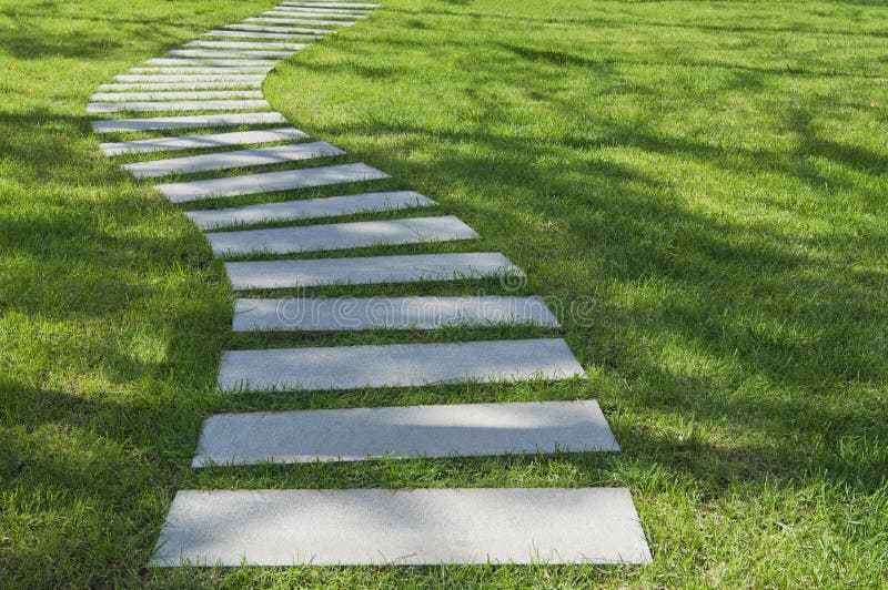 A path on the grass stock image. Image of walk, summer - 21921527
