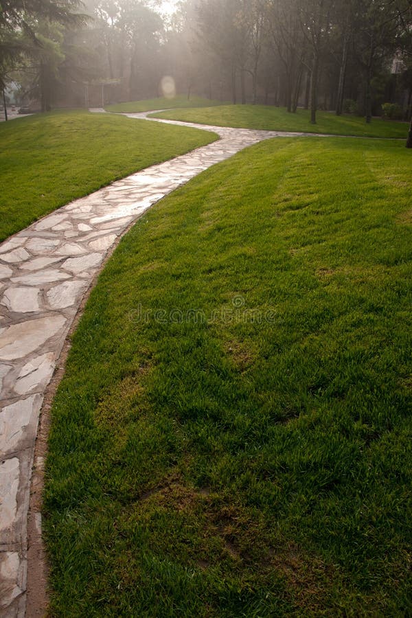 A Path in Grass stock photo. Image of daybreak, path - 22561884