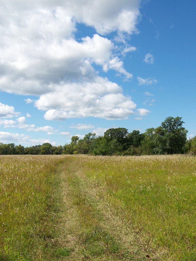 Path through Grass stock photo. Image of land, field, blue - 3106626