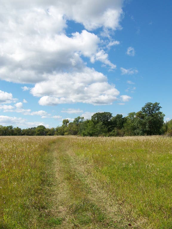 Path through Grass stock photo. Image of land, field, blue - 3106626