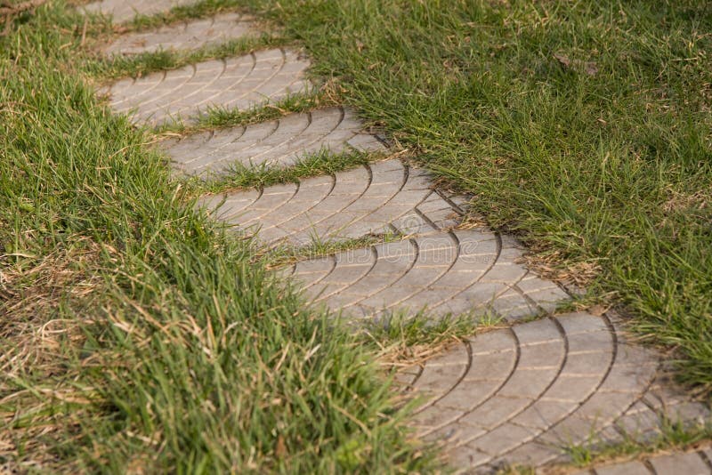 Path In Grass Picture. Image: 4960171